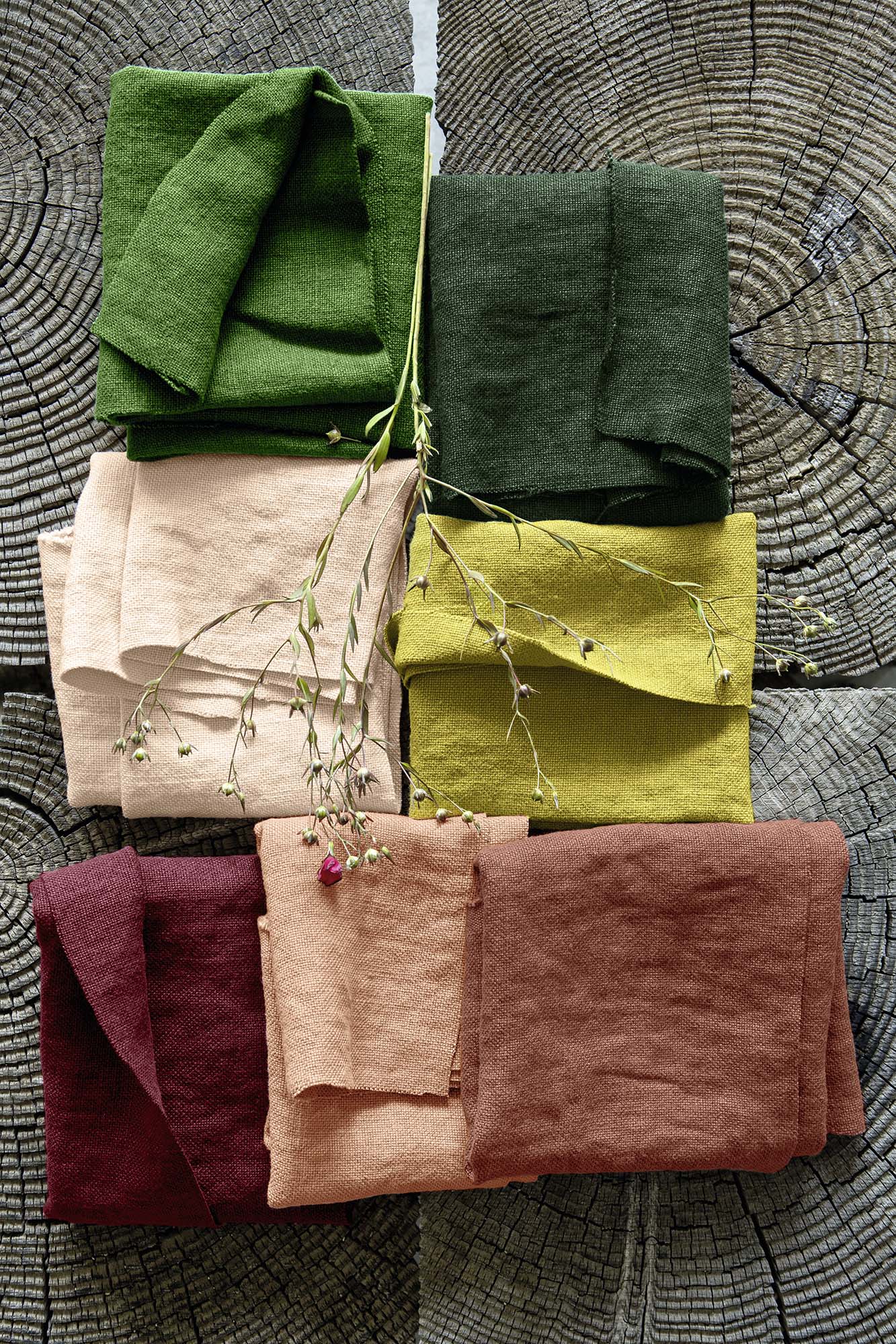 interior library - Gypsies LI755-51 ÉLITIS