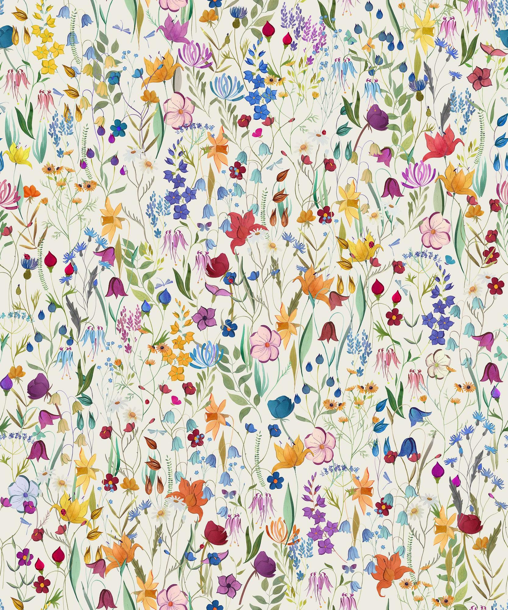 interior library - Campo Fiorito CB100101 J&V