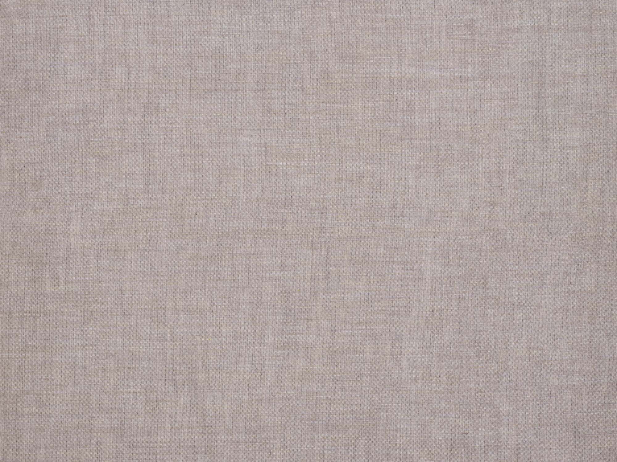 interior library - Adonis 5C WIND