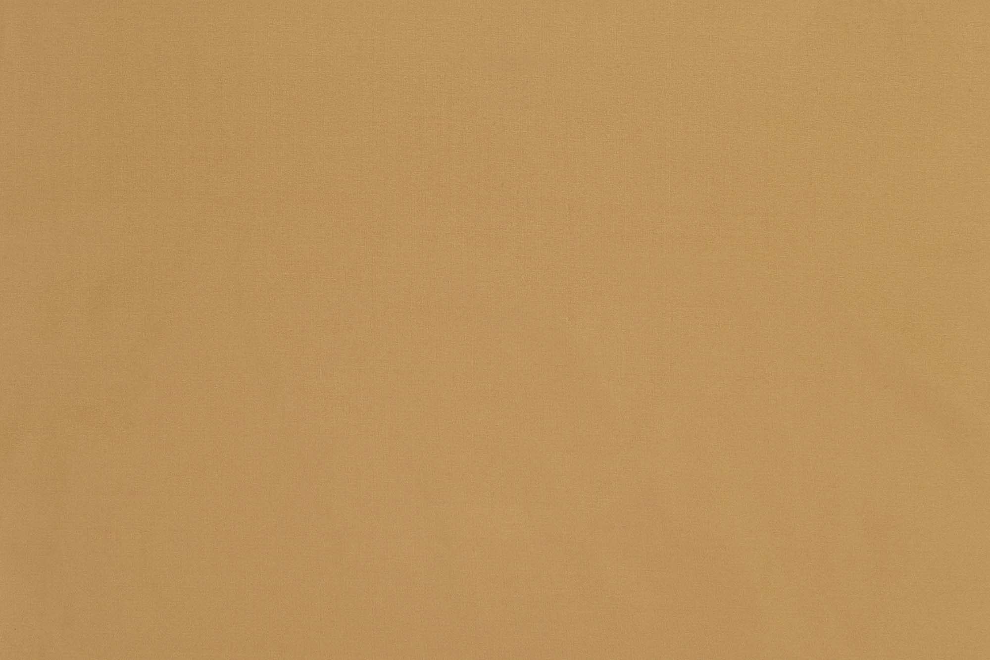 interior library - Caesar 2B WIND